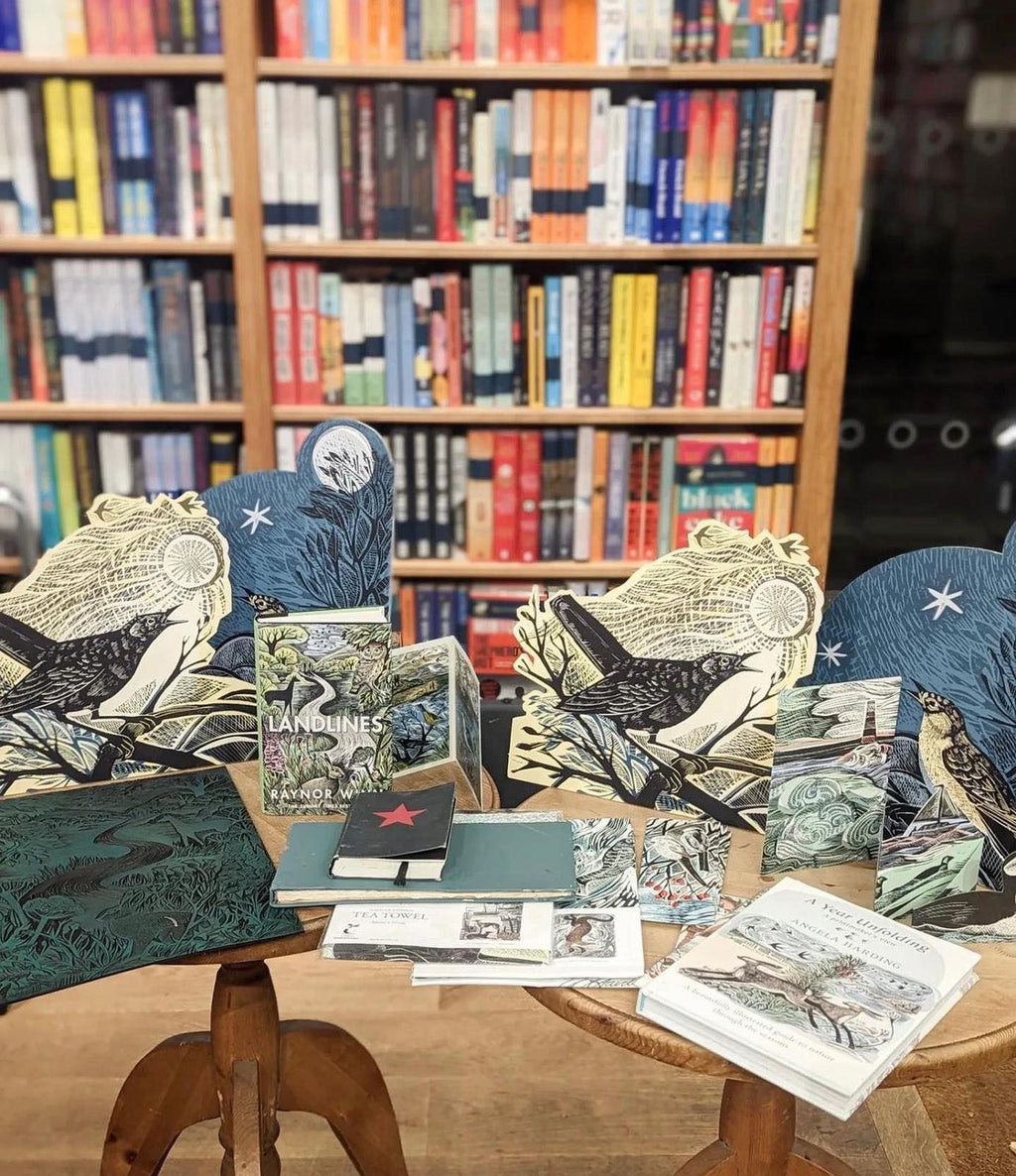 Wild Light Book Tour – Angela Harding