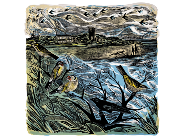 Angela Harding | Linocut Prints, Giftware and Paintings
