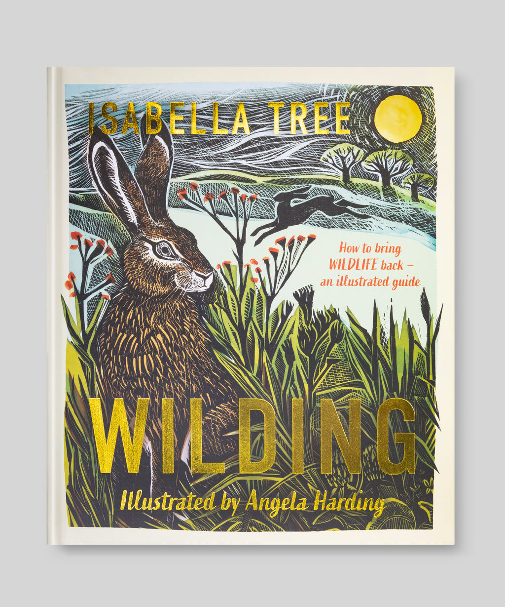 Wilding Book – Angela Harding