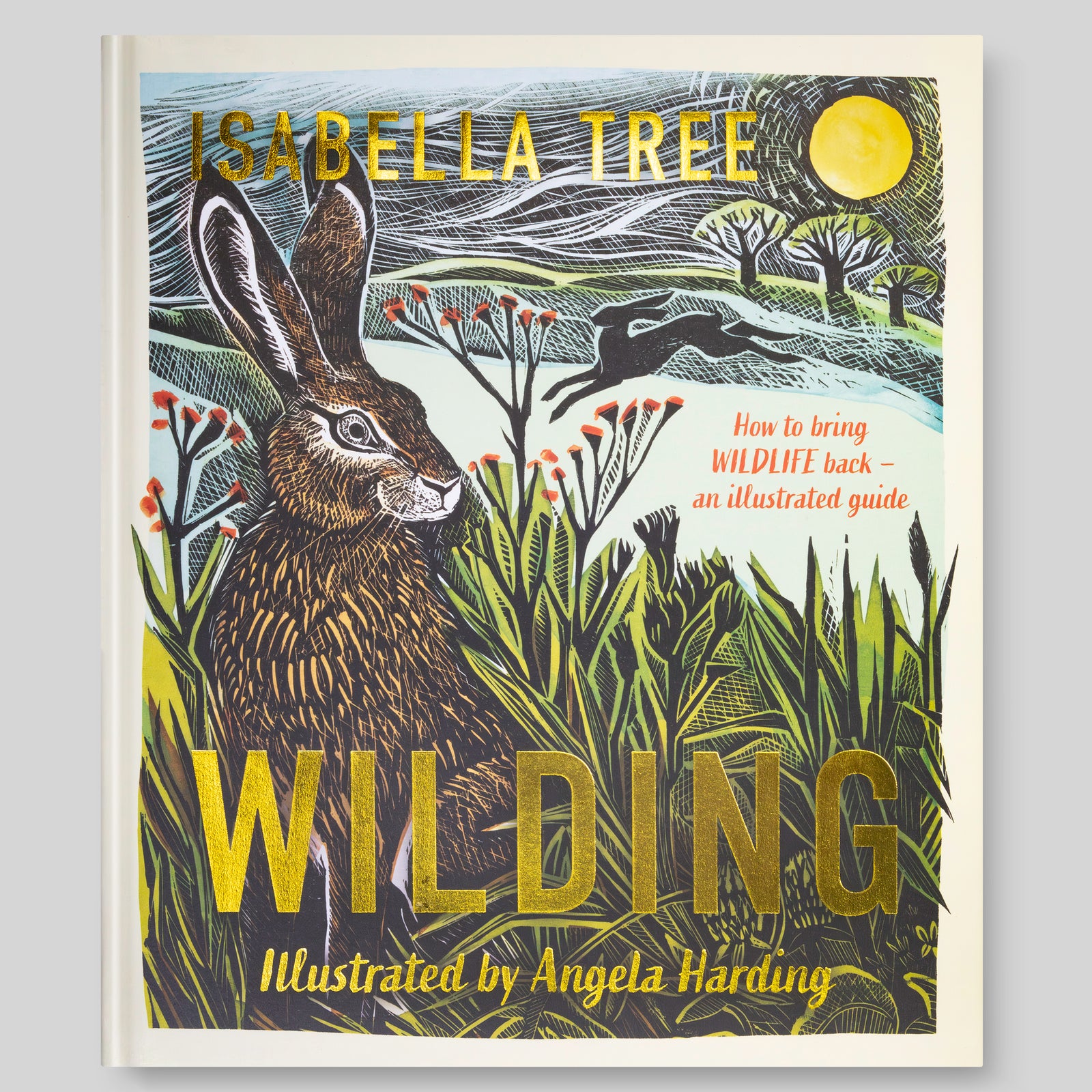 Angela Harding | Linocut Prints, Giftware and Paintings
