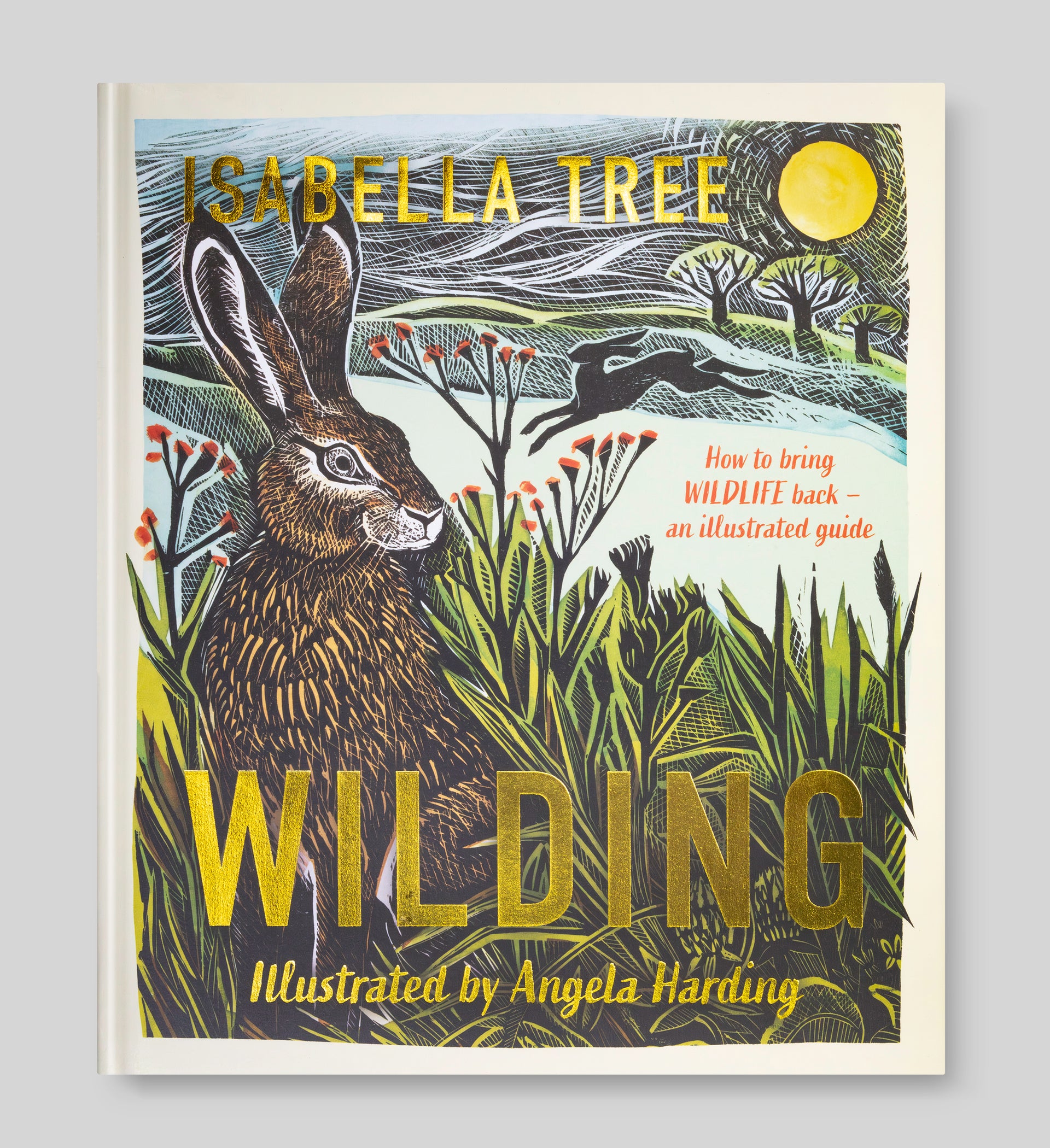 Angela Harding | Linocut Prints, Giftware and Paintings