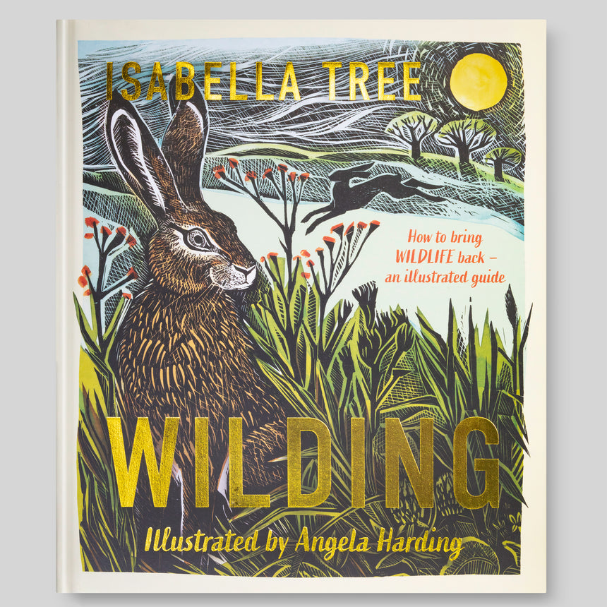 Angela Harding | Linocut Prints, Giftware and Paintings