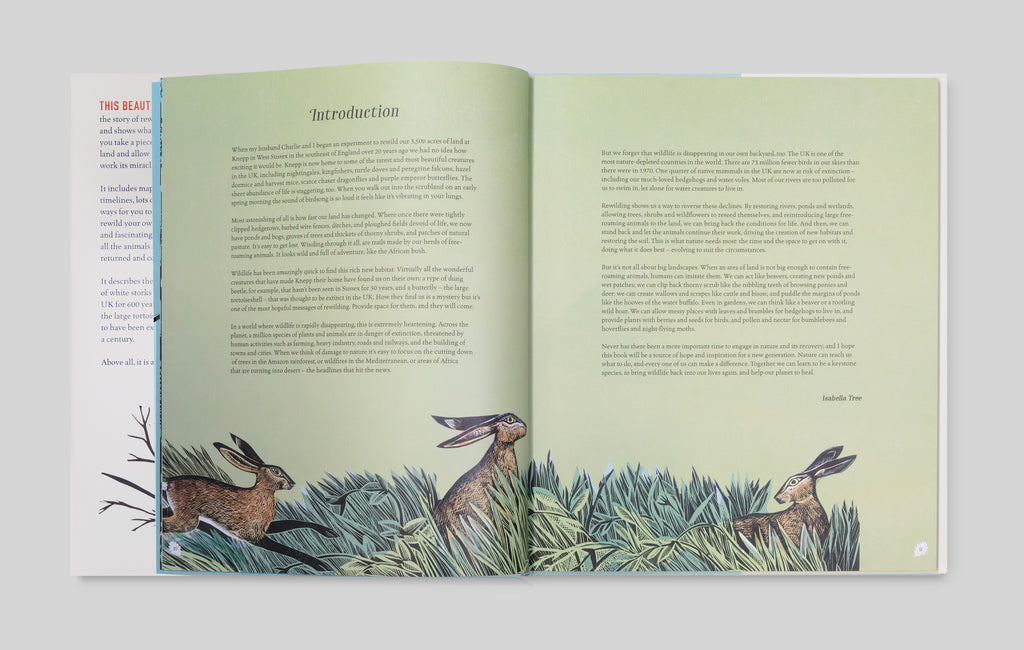 Wilding Book – Angela Harding