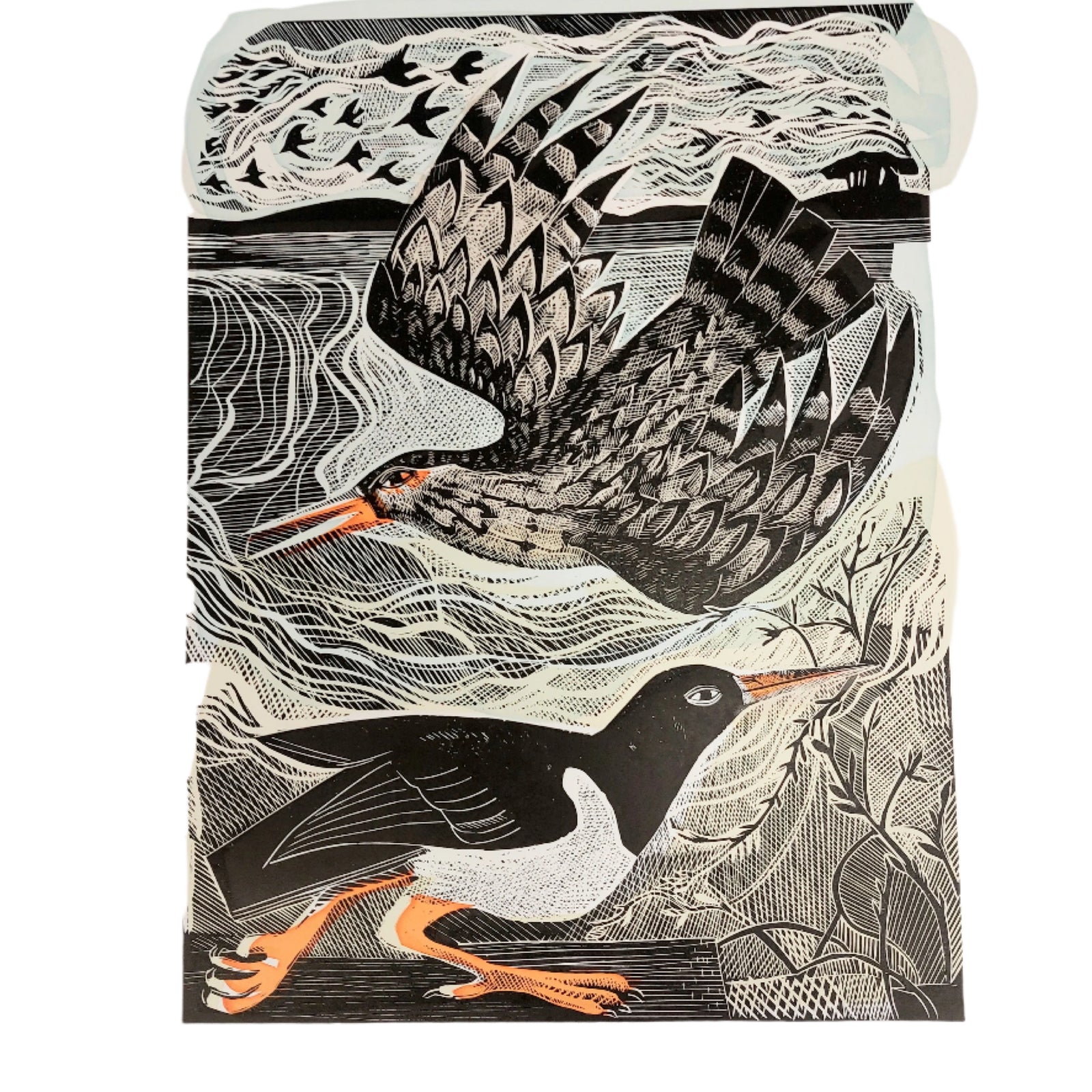 Prints – Angela Harding