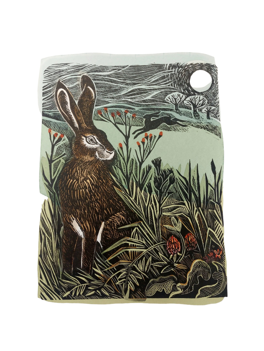 Hidden Hares – Angela Harding