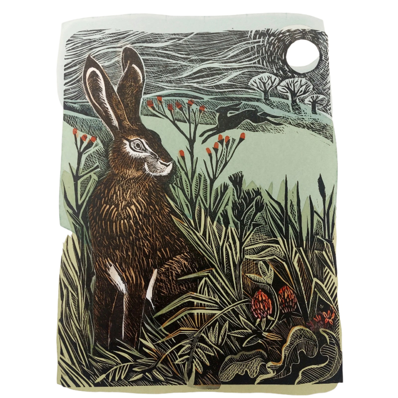 Prints – Angela Harding