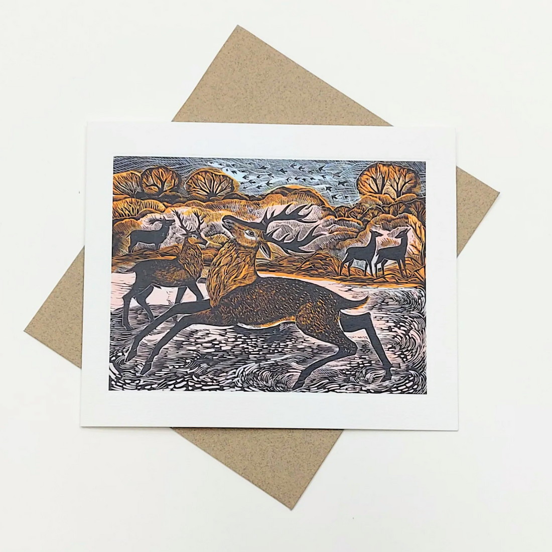 Greetings Cards, Notecards & Postcards | Angela Harding