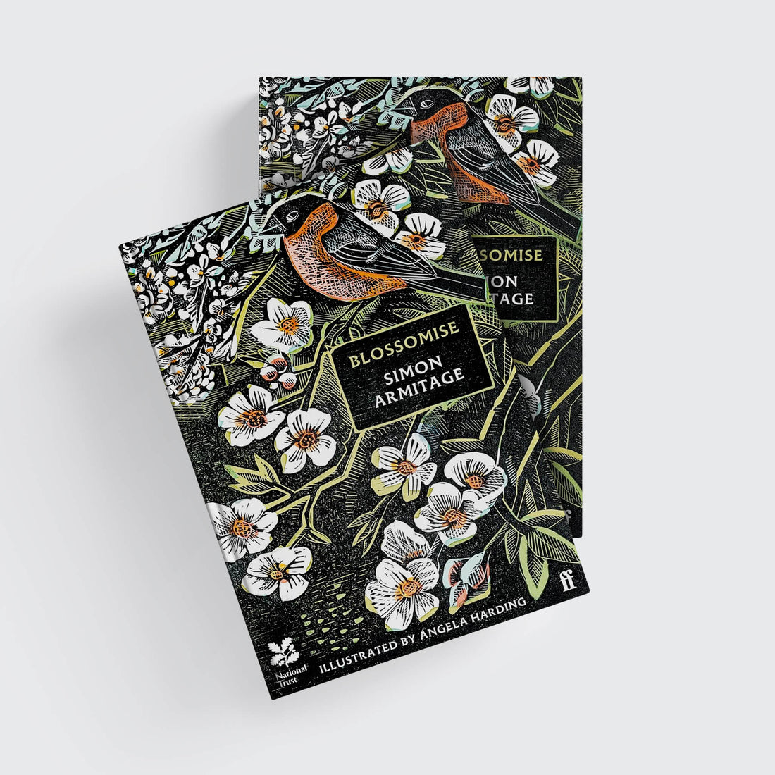 Books – Angela Harding