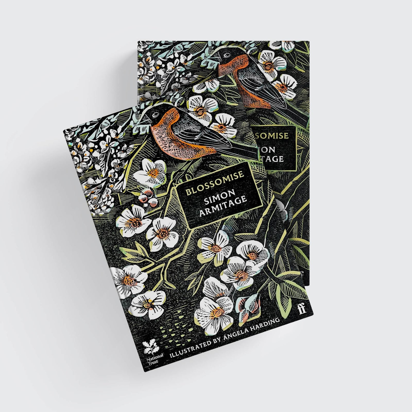 Books – Angela Harding