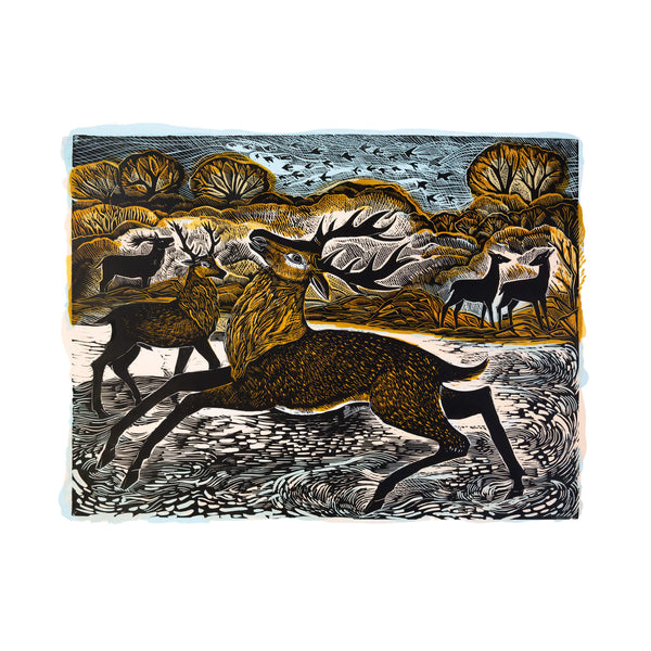 Angela Harding | Linocut Prints, Giftware and Paintings