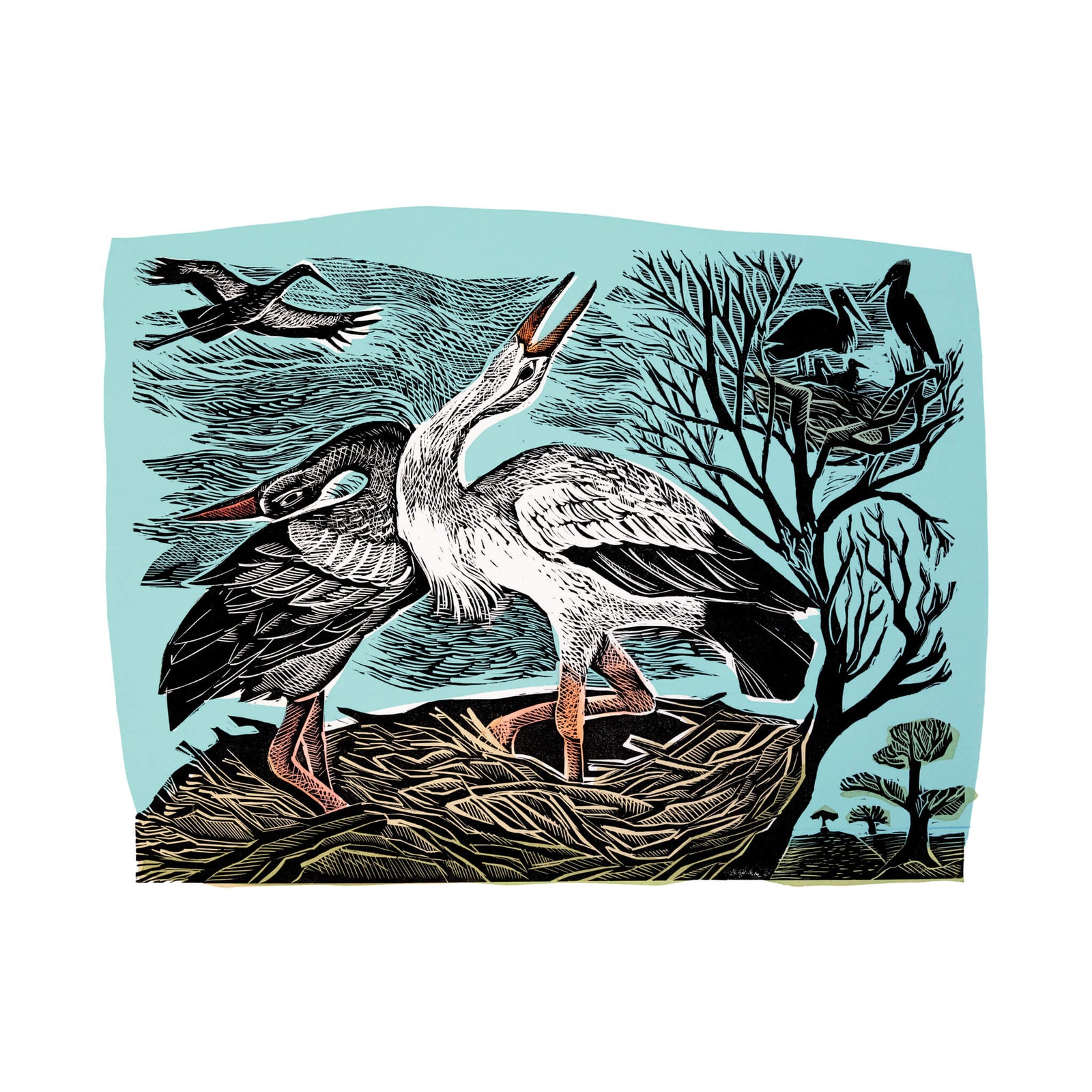 British Birds and Countryside Linocut Prints | Angela Harding