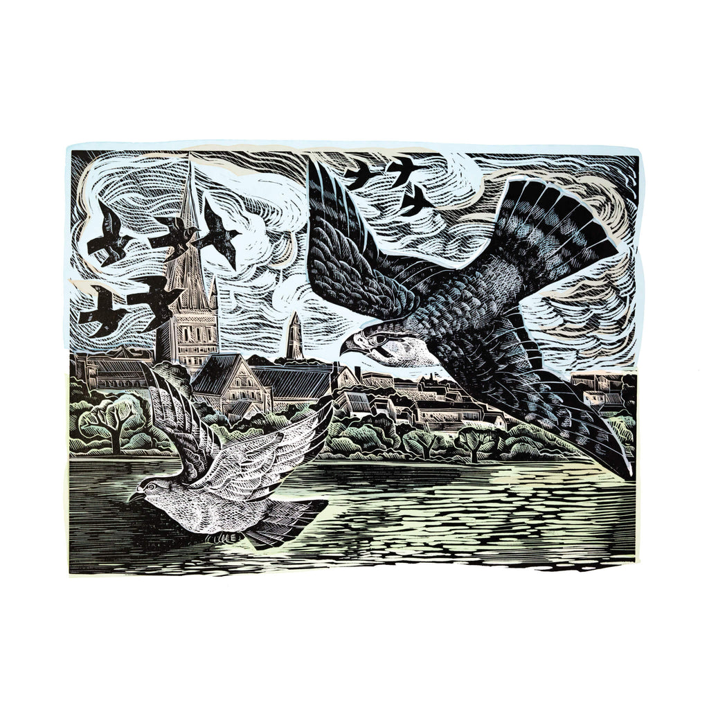 The Norwich Peregrine – Angela Harding