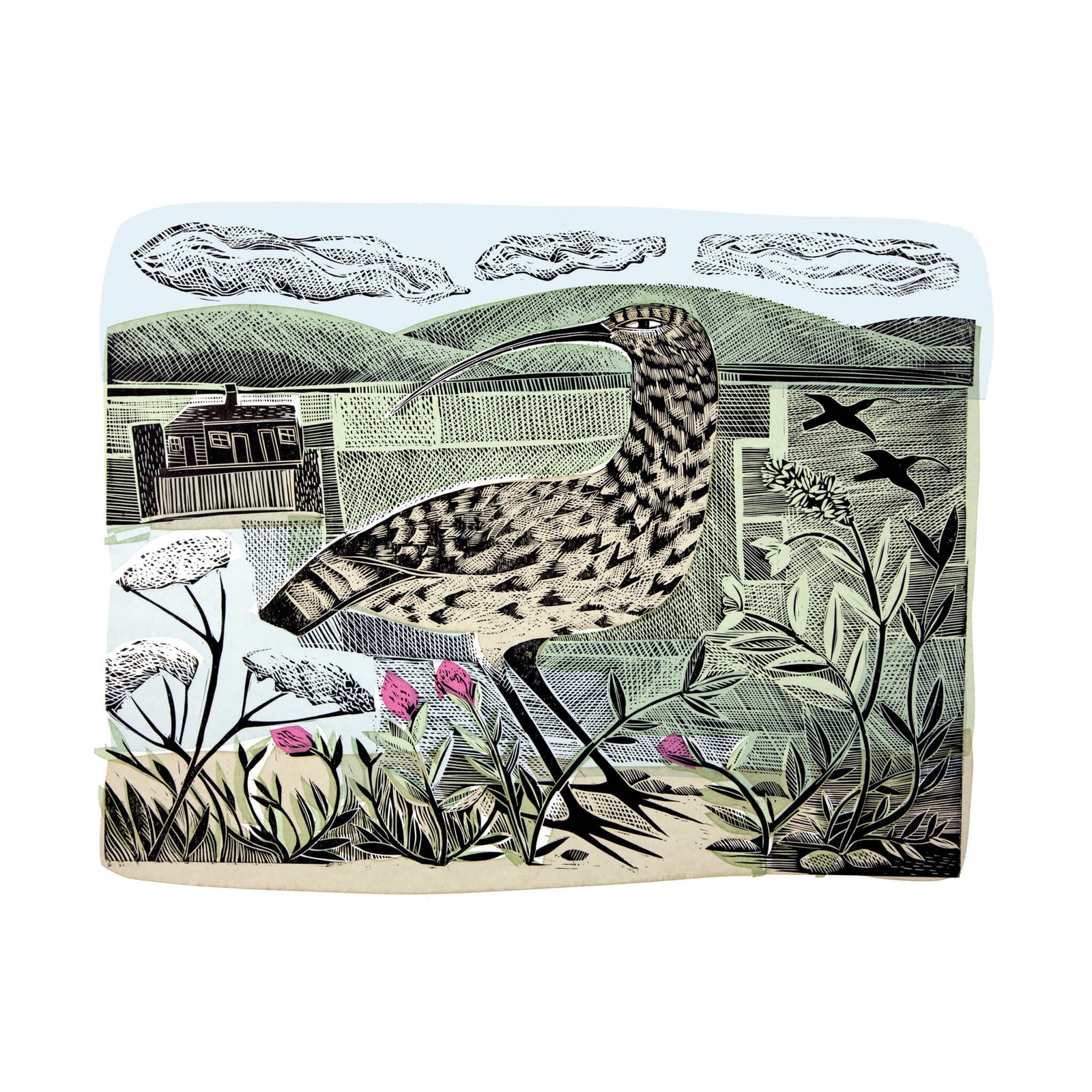 British Birds and Countryside Linocut Prints | Angela Harding