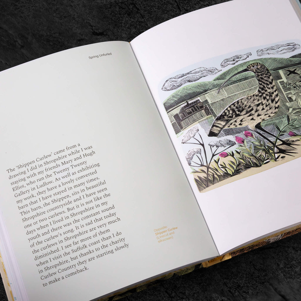 Spring Unfurled (Seasonal Quartet) – Angela Harding