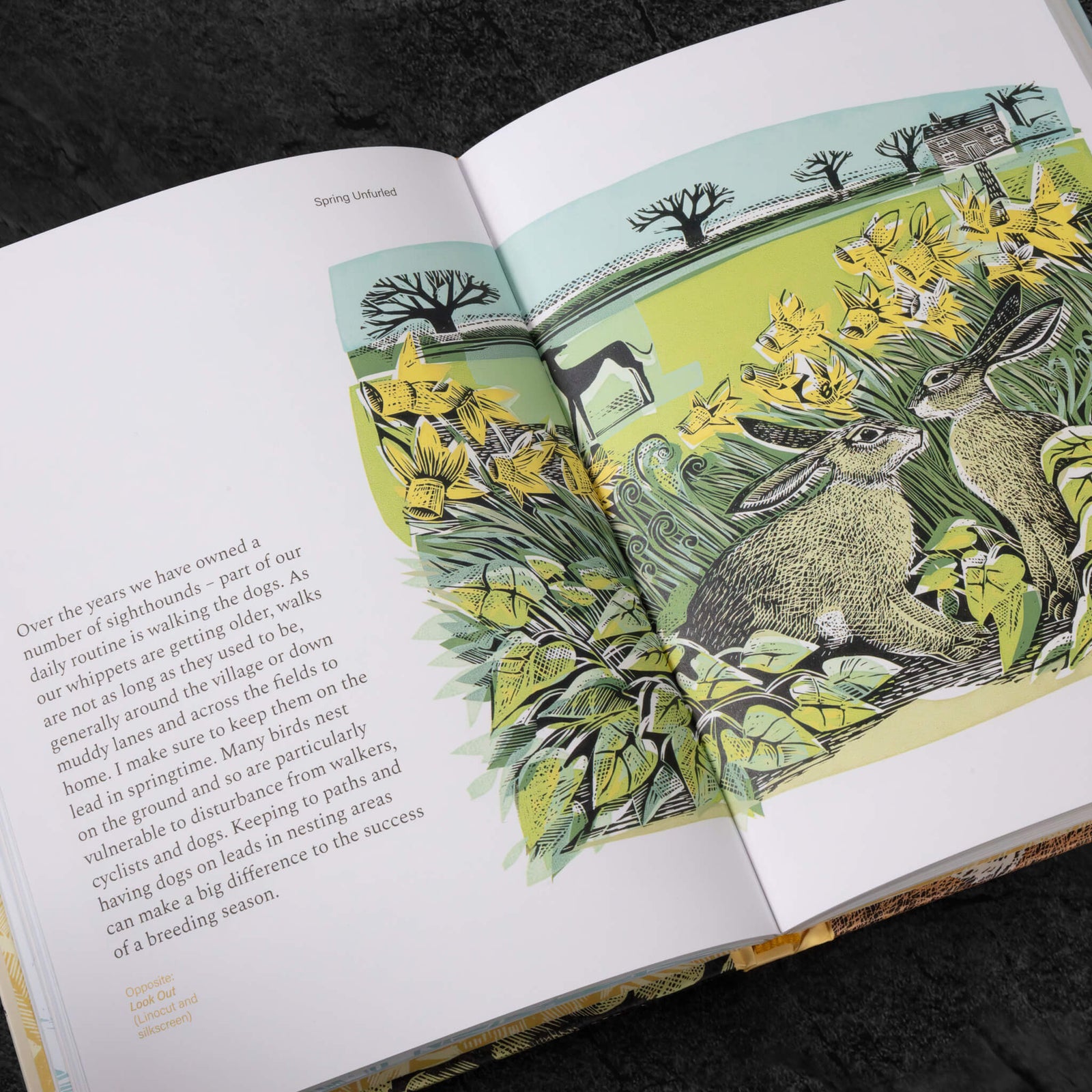 Angela Harding | Linocut Prints, Giftware and Paintings