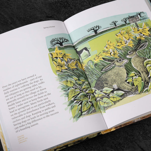 Angela Harding | Linocut Prints, Giftware and Paintings