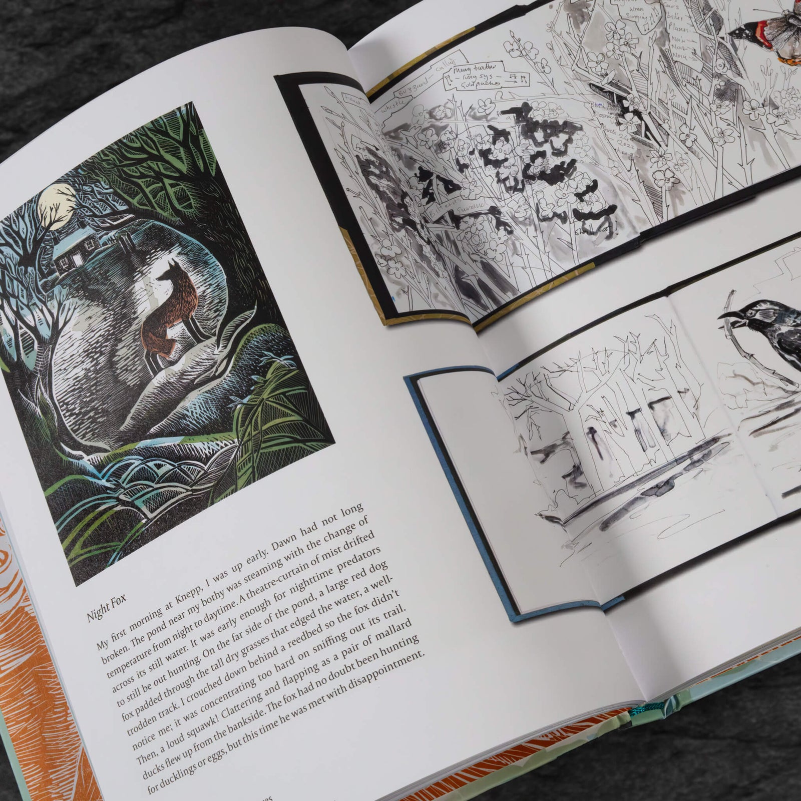 Angela Harding | Linocut Prints, Giftware and Paintings