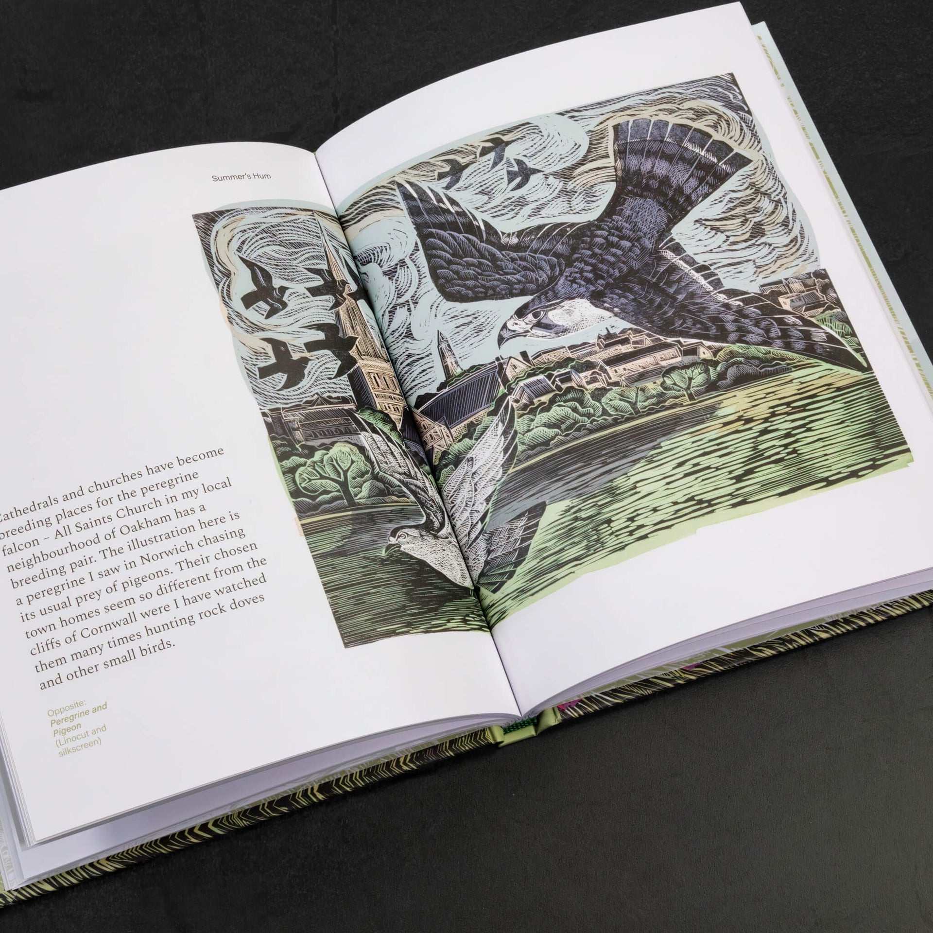 Angela Harding | Linocut Prints, Giftware and Paintings