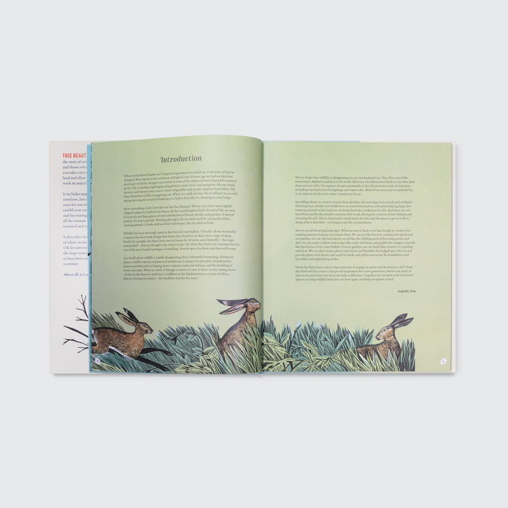 Wilding Book – Angela Harding