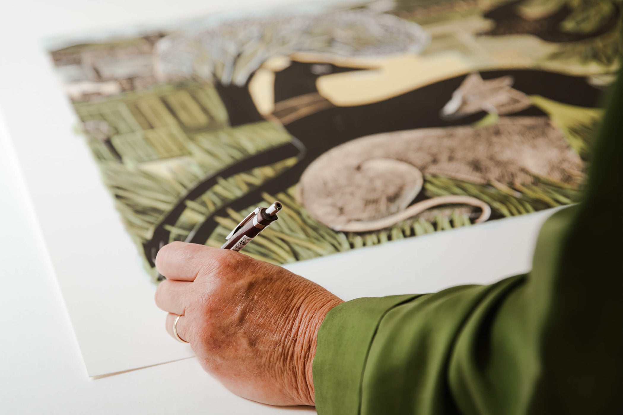 Angela Harding | Linocut Prints, Giftware and Paintings