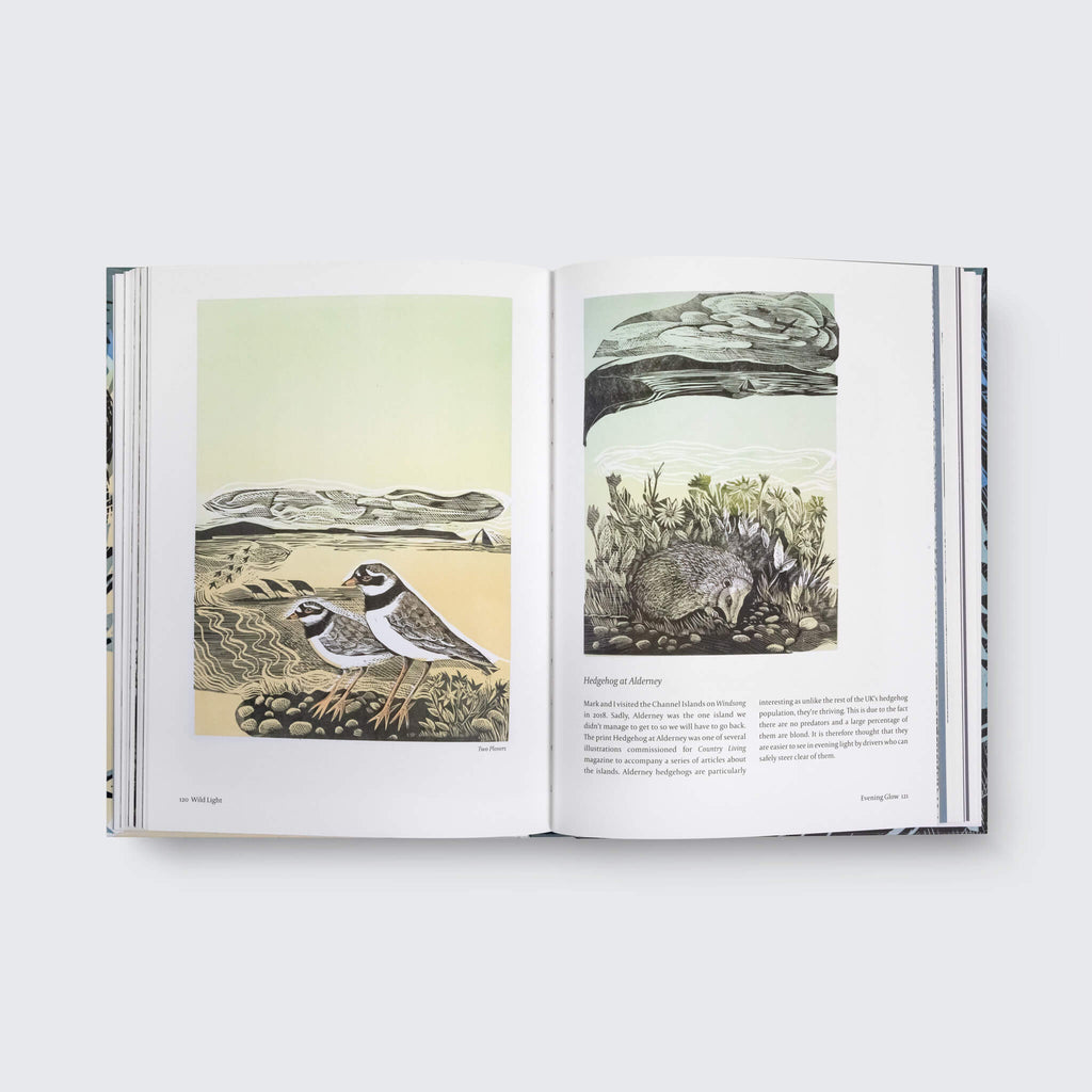 Wild Light – Angela Harding