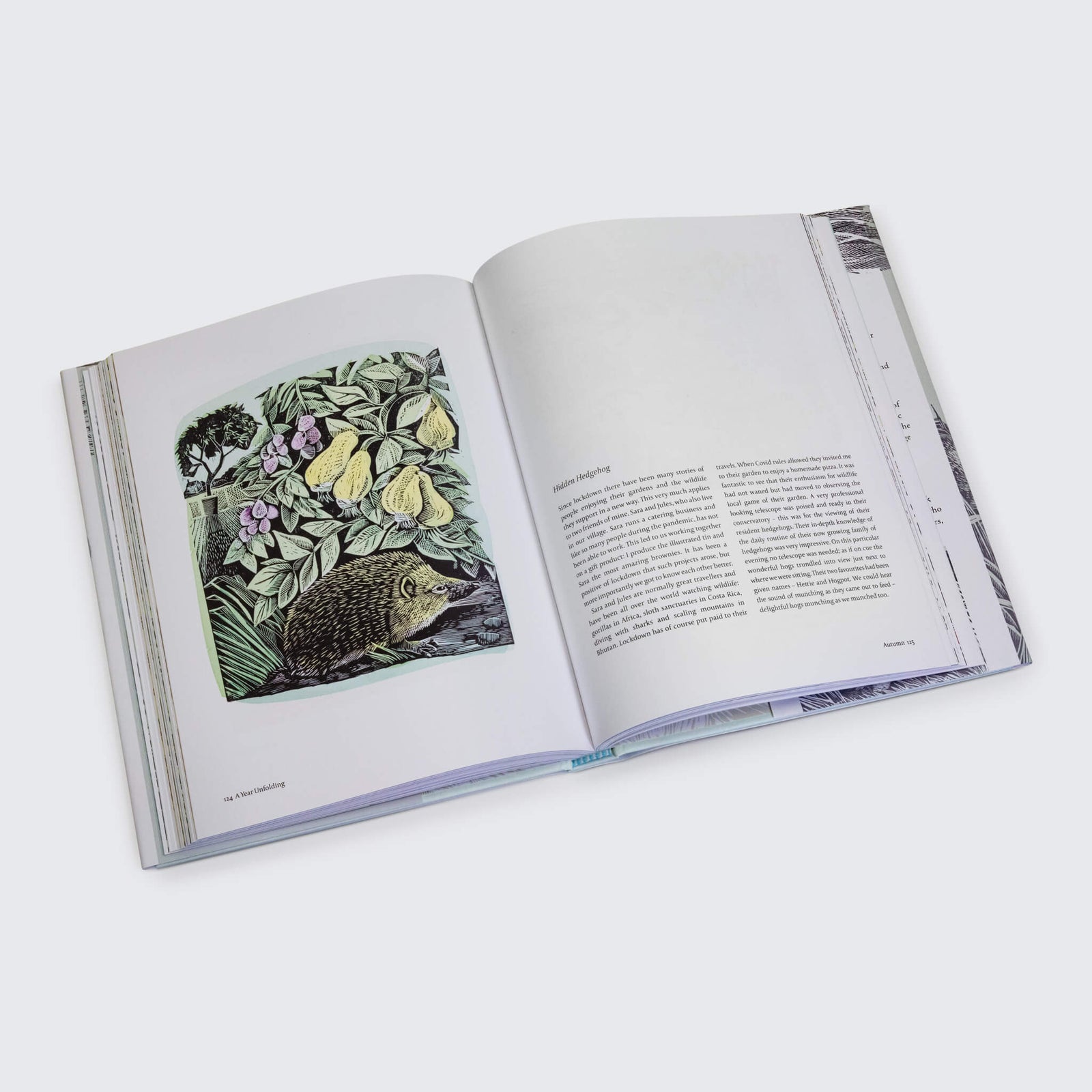 A Year Unfolding | Nature Book | Angela Harding