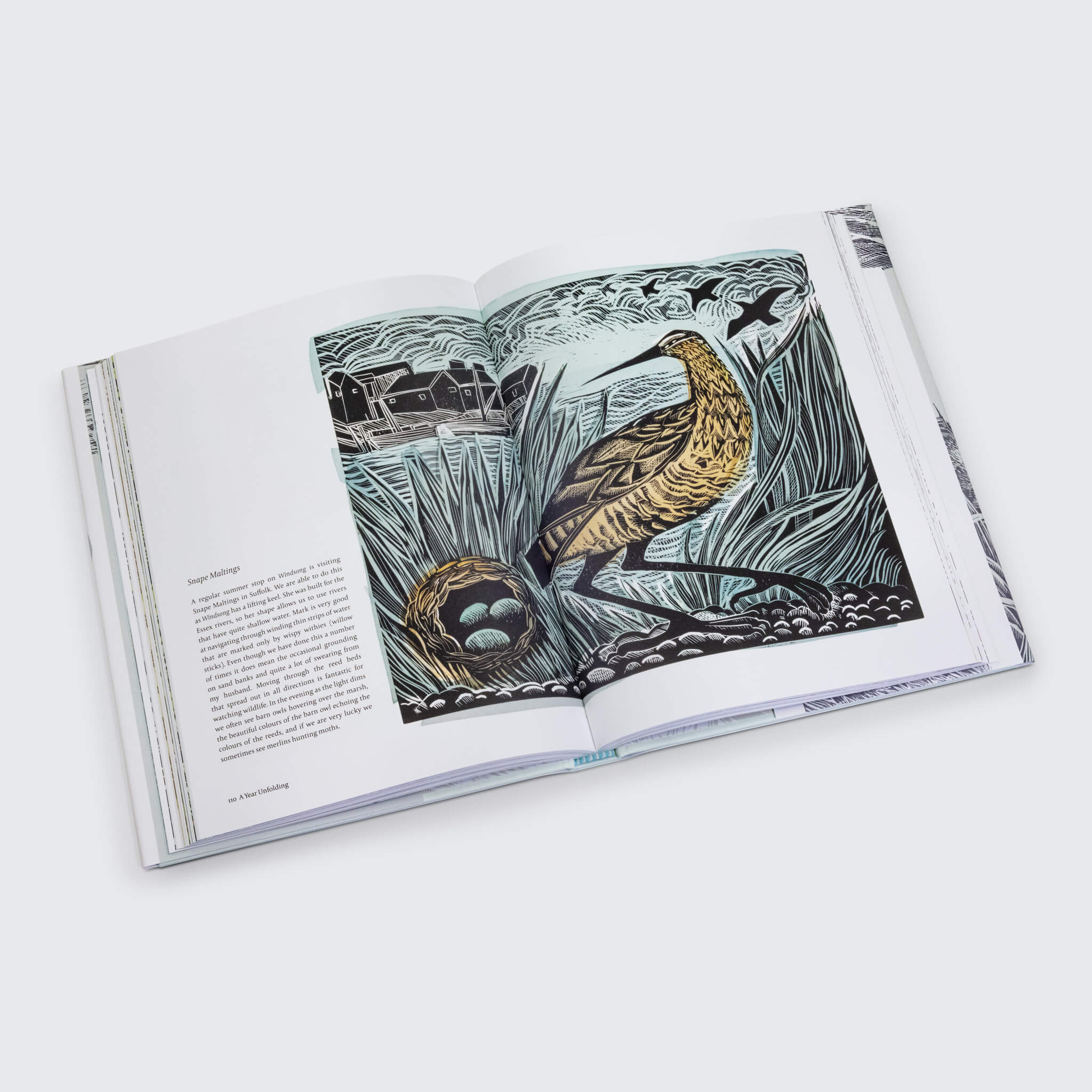 A Year Unfolding | Nature Book | Angela Harding