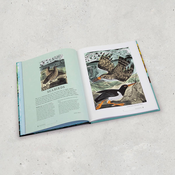 RSPB Birds Book | Angela Harding | Miranda Krestovnikoff