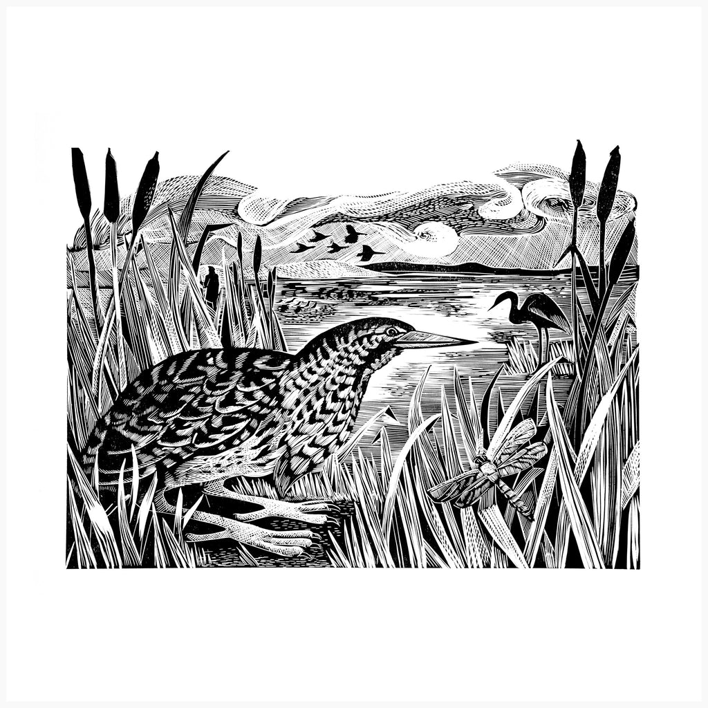 Angela Harding | Linocut Print | Bittern and Wetlands | Black and White