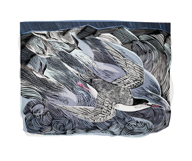 Prints – Angela Harding