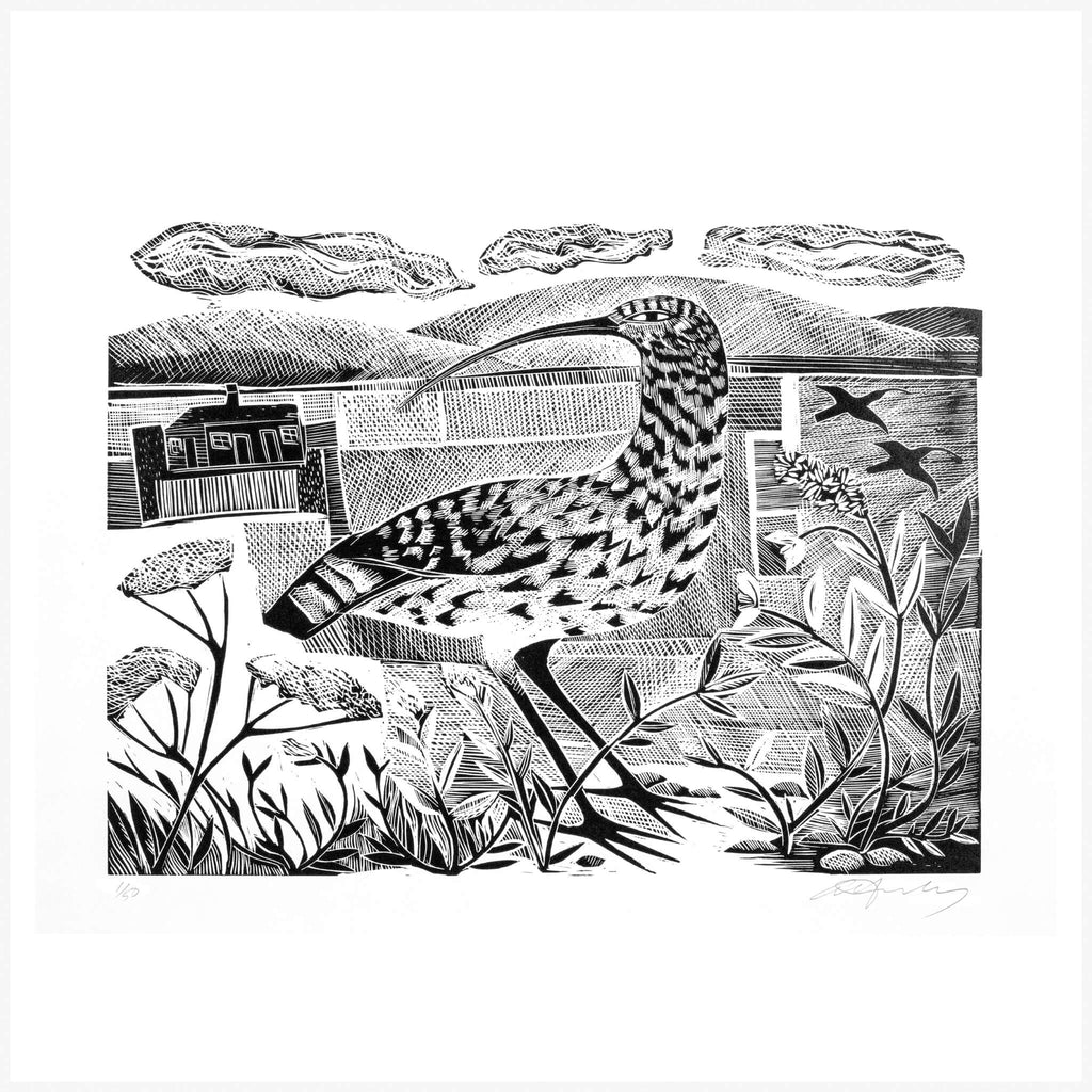 Shippen Curlew – Black and White Edition – Angela Harding