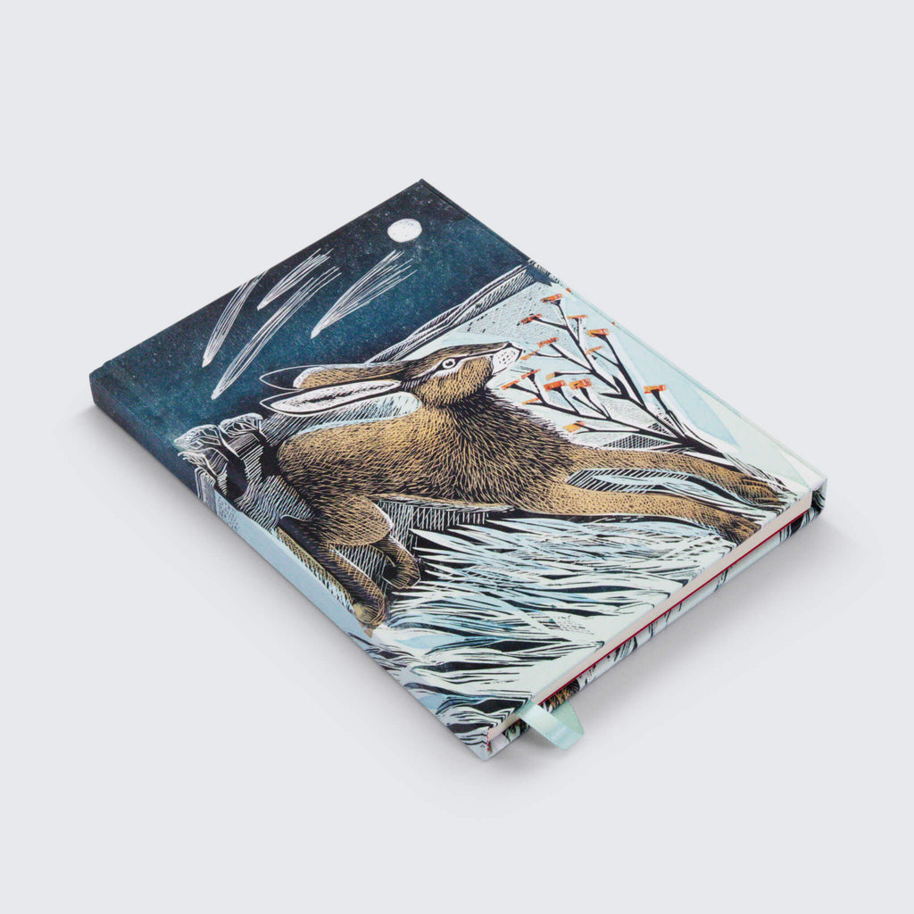 Shooting Stars Hardback Notebook | Angela Harding